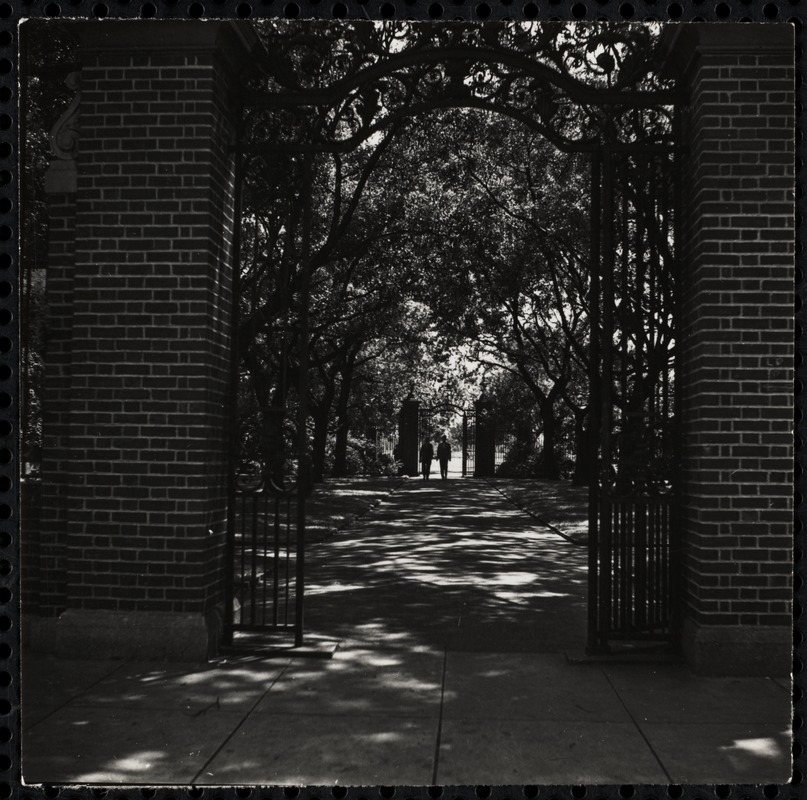 Harvard 2 - Digital Commonwealth