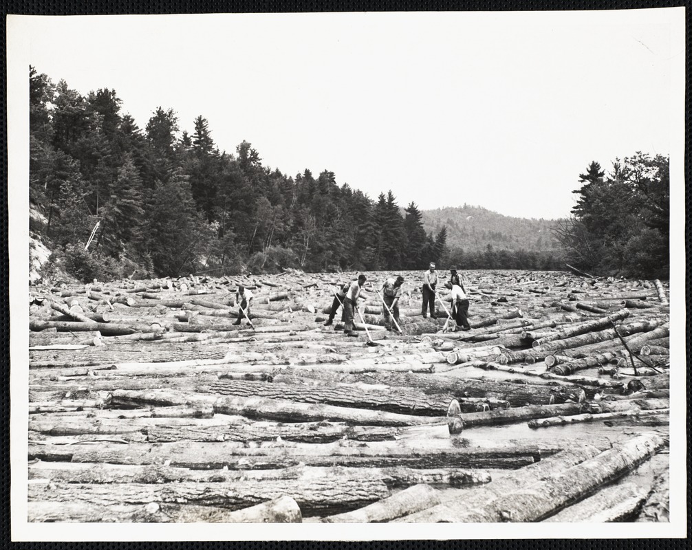 Log drive- Saco River 1 - Digital Commonwealth