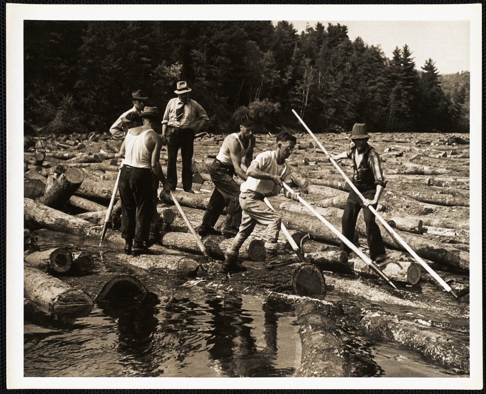 Log drive on the Saco River, Me. - Digital Commonwealth