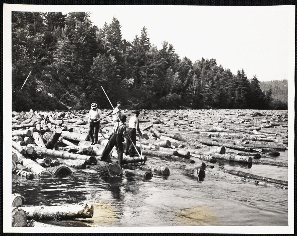 Wide World Photos Boston Bureau Logs go down the oldest drive in the ...