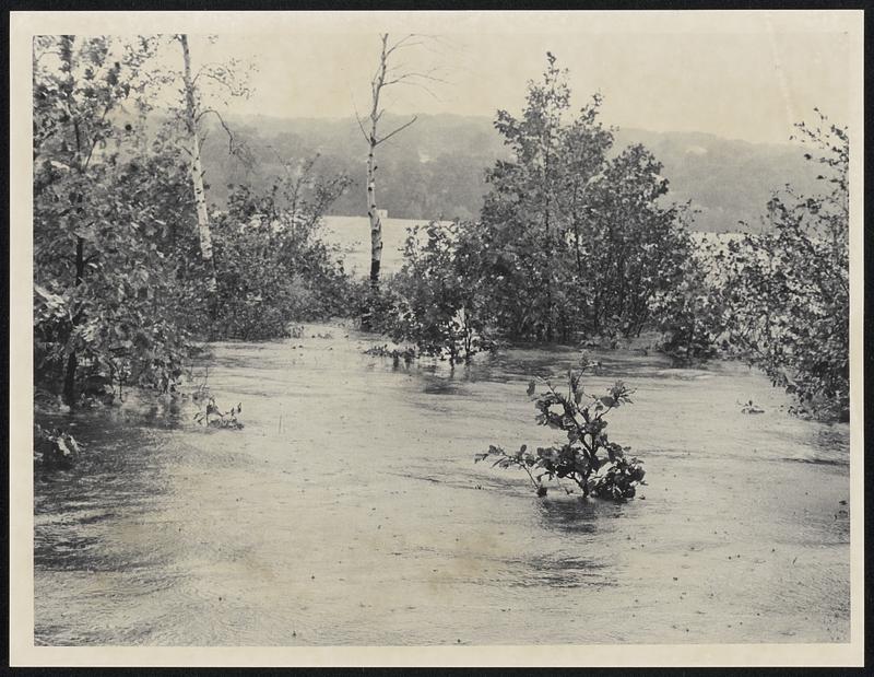 Flooded mystic Valley Parkway in Medford as Mystic Lake overflows ...