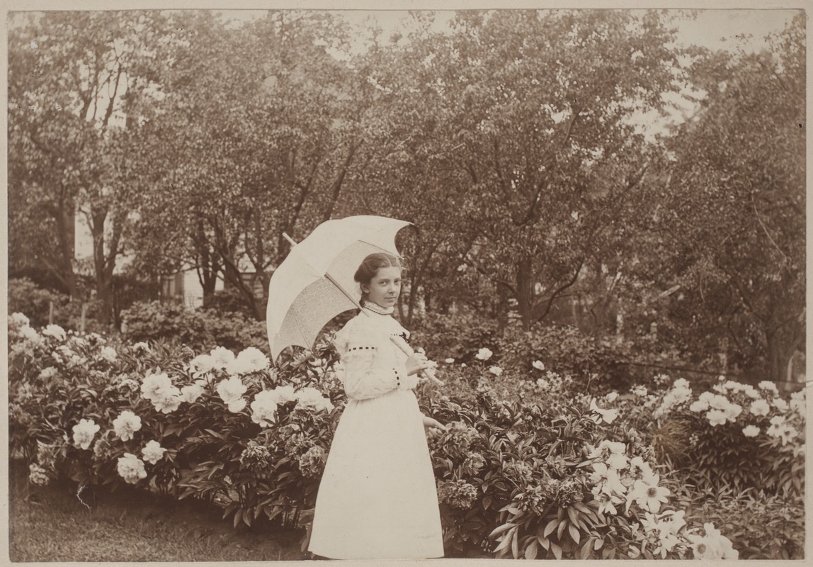 Photograph Album of the Newell Family of Newton, Massachusetts ...