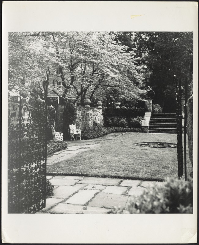 Ashdale Farm. View of rose garden from gate; white cast iron chairs on ...