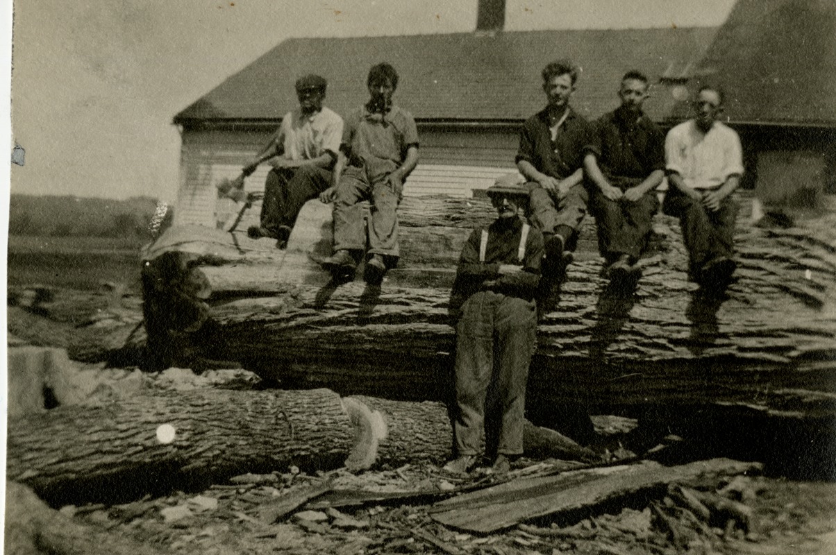 Harvesting lumber from fallen Great Elm - Digital Commonwealth
