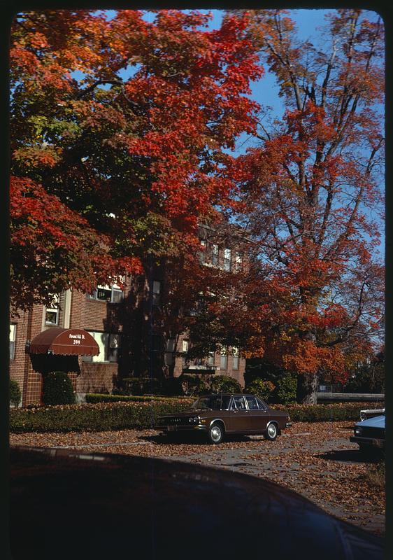 Trees showing fall foliage in front of an apartment building - Digital ...