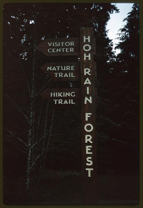 Hoh Rainforest sign, Olympic Peninsula, Washington - Digital Commonwealth