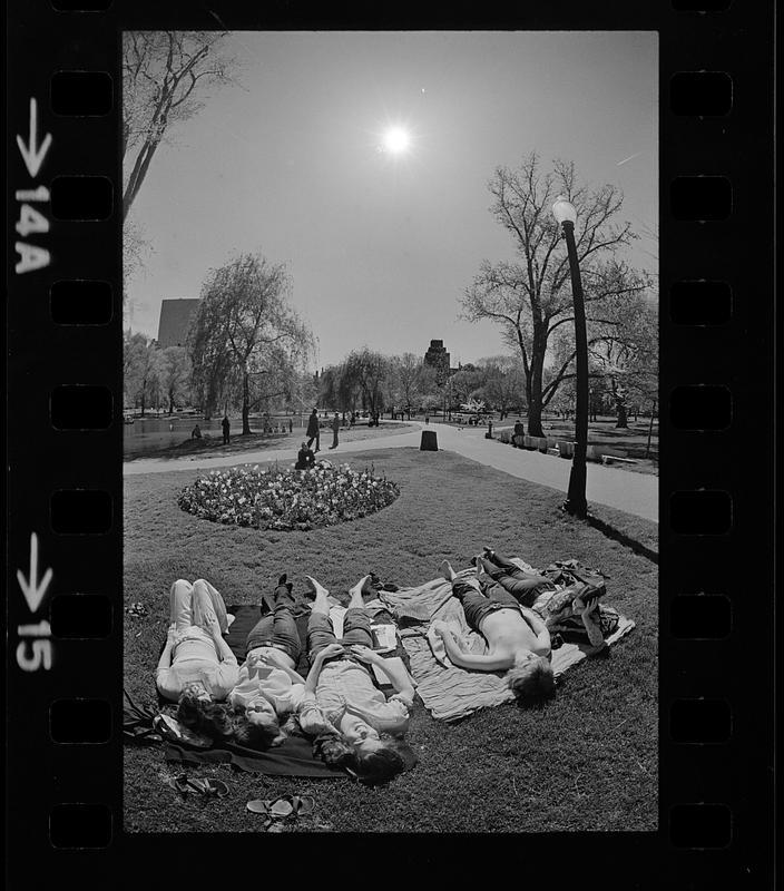 Sunbathing in Public Garden, Back Bay - Digital Commonwealth