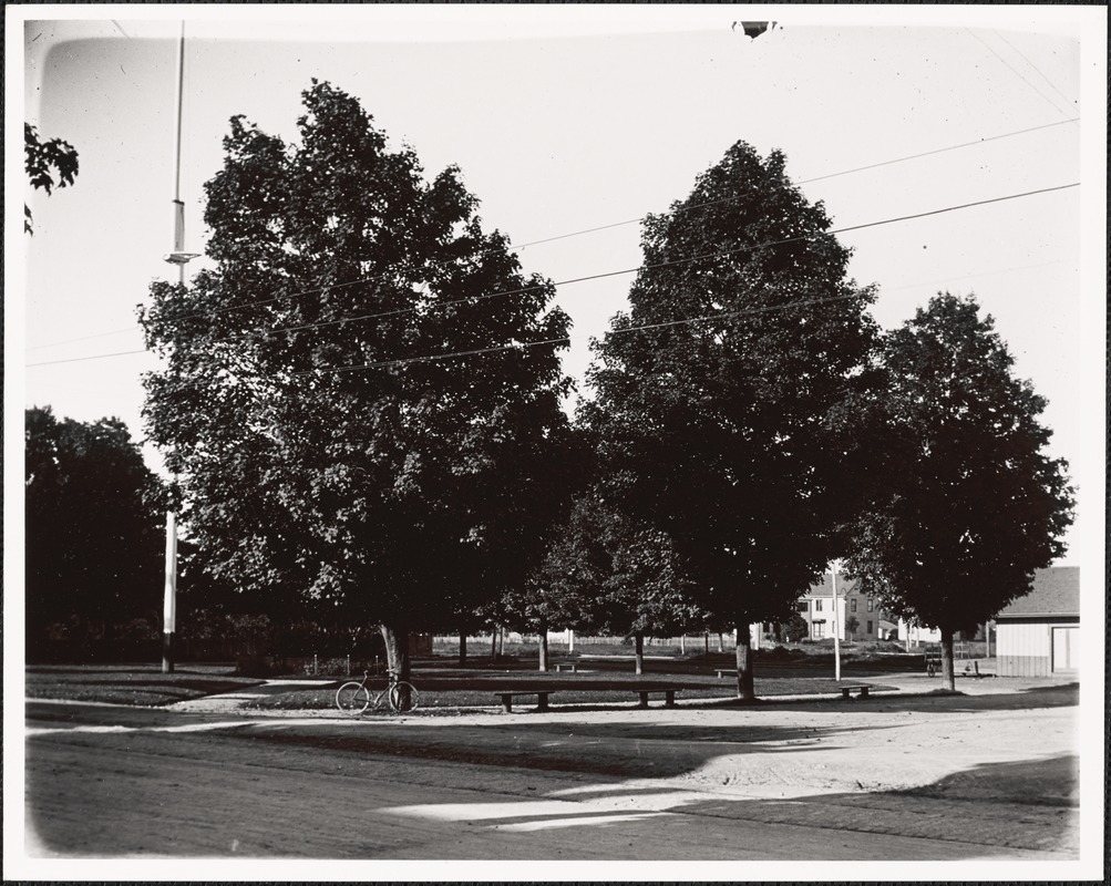 Common - Digital Commonwealth