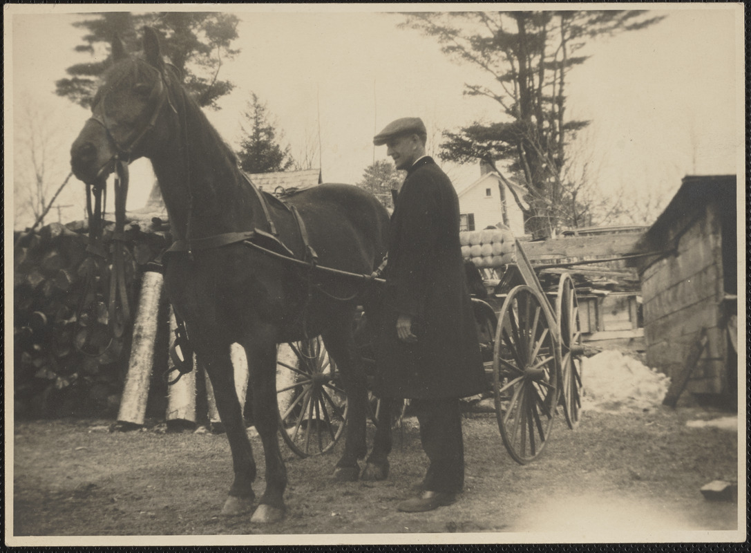 Horse, Wagon, Man - Digital Commonwealth