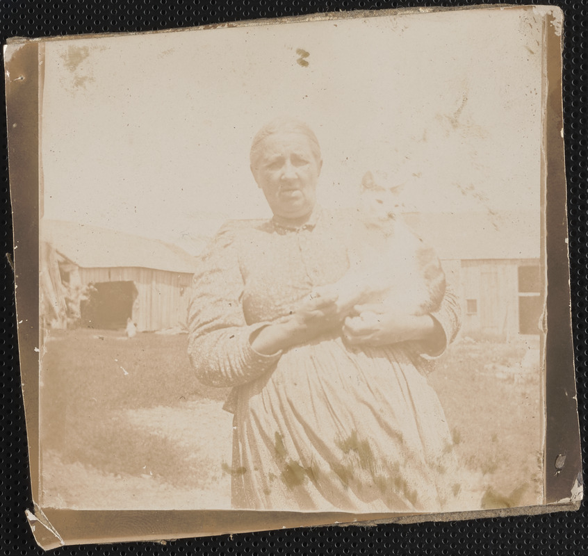 Harriet Messenger Middlebrook and Cat - Digital Commonwealth