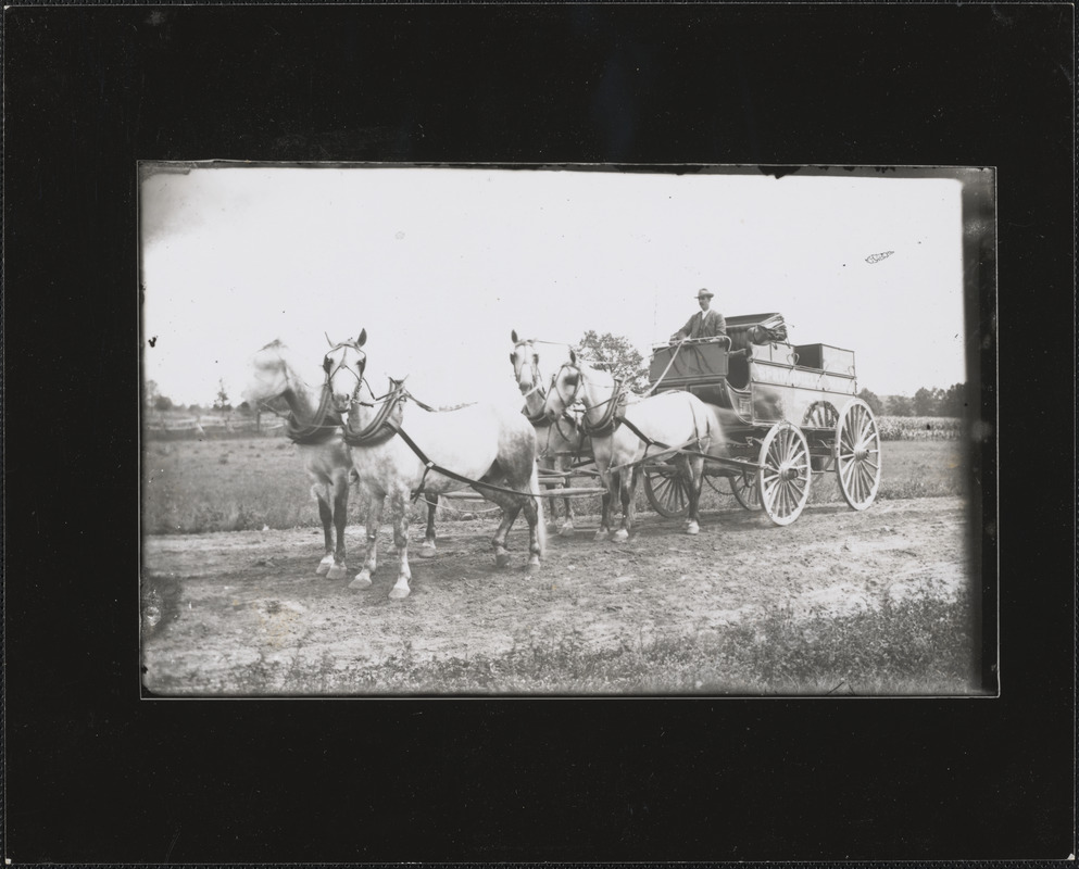 Team of Horses, Carriage, Man - Digital Commonwealth