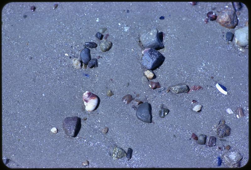 Rocks on beach - Digital Commonwealth