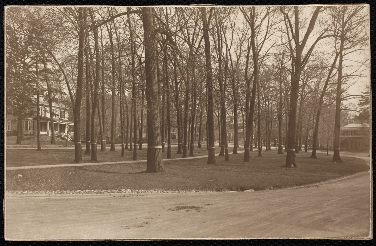 Villages of Newton, MA. Newton Corner. Kenrick Park, Newton Corner ...