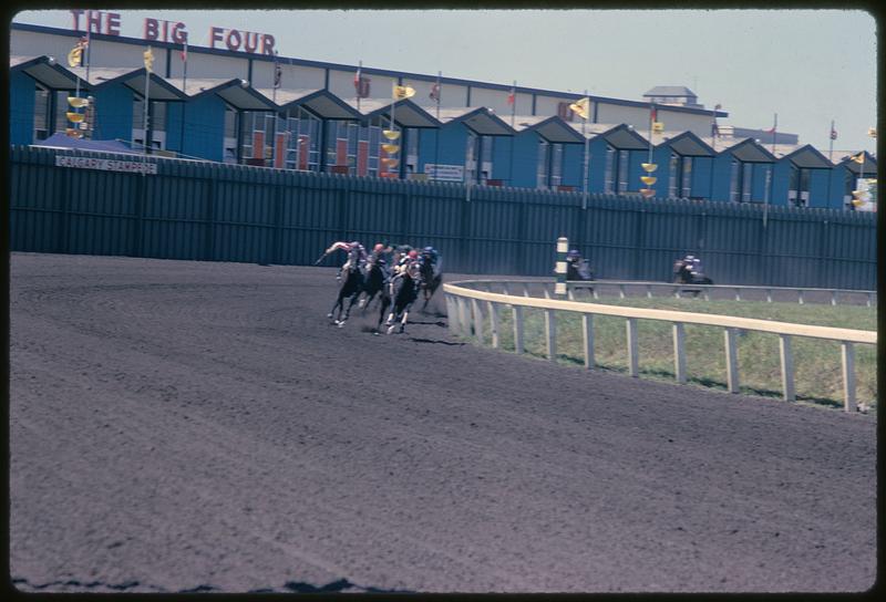 Horses at curve of race track at Calgary Stampede, Alberta - Digital ...