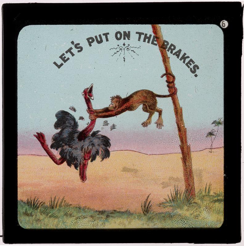 Monkey in a tree choking an ostrich - Digital Commonwealth