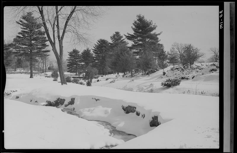Mill stream in winter, Wayside Inn, Sudbury - Digital Commonwealth