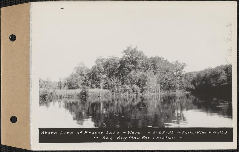 Shore line of Beaver Lake, Ware, Mass., Jun. 23, 1936 - Digital ...