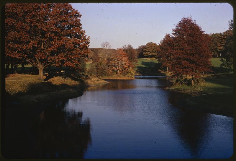 Trees showing fall foliage next to a body of water - Digital Commonwealth