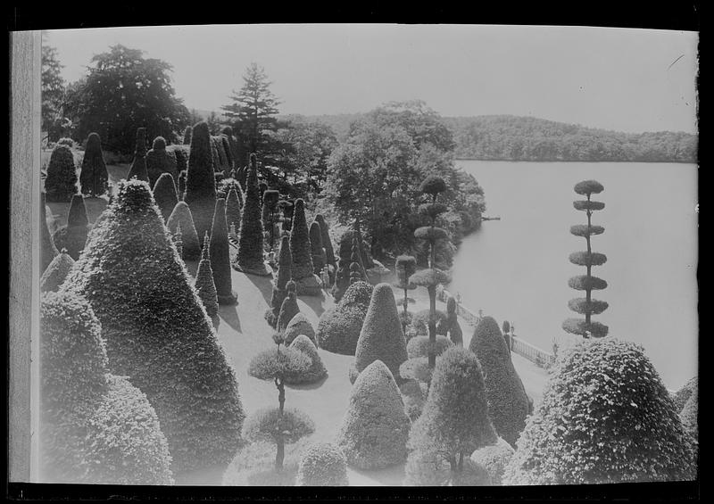 Topiary work - Digital Commonwealth