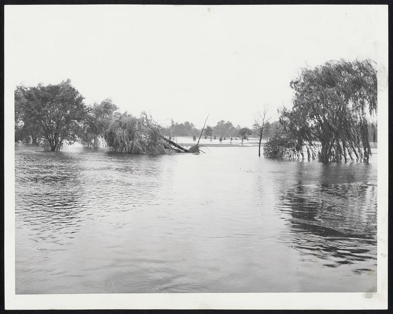 Fore?-Not for a while, at least, on the inundated Wayland Golf Course ...