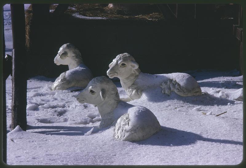 Boston Common nativity - Digital Commonwealth