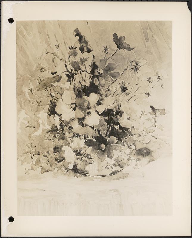 Cosmos - Digital Commonwealth