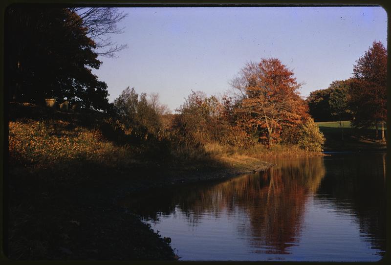Trees showing fall foliage next to a body of water - Digital Commonwealth
