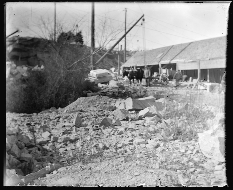 Field and Wild Quarry - Digital Commonwealth