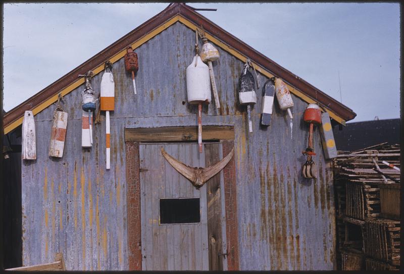 View of shack decorated with buoys - Digital Commonwealth