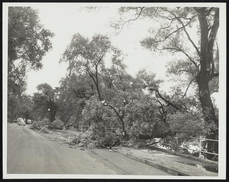 Storm Border - Main St. Wakefield is trimmed with broken branches ...