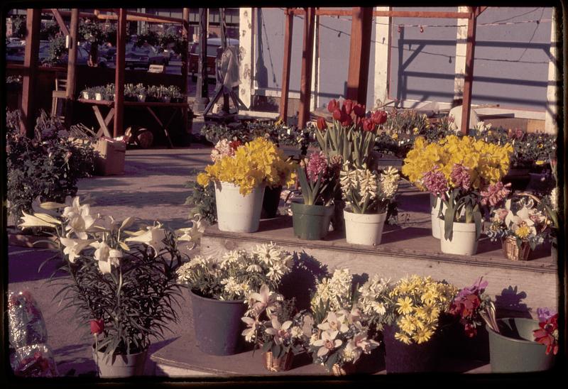 Merchant's Row at North Market Street North End Boston - Digital ...