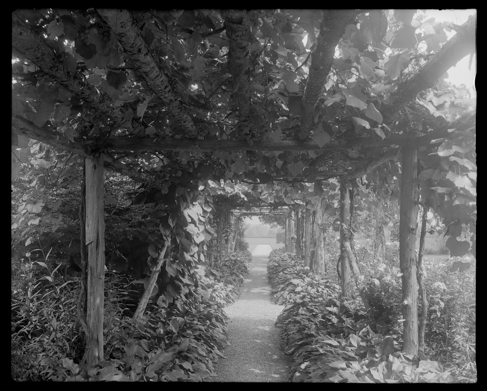 Coldbrook: arbor with vines - Digital Commonwealth