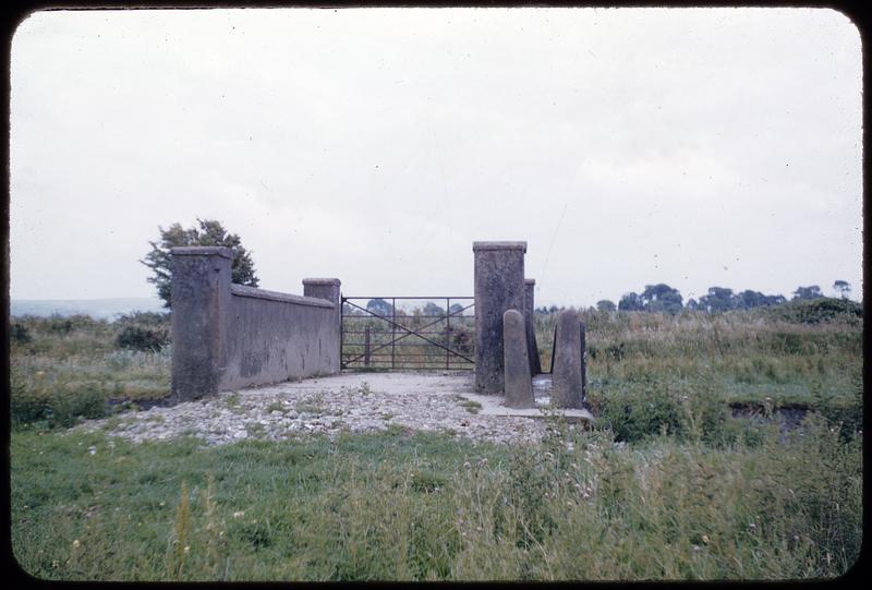 Cow bridge, Castleisland, Ireland - Digital Commonwealth