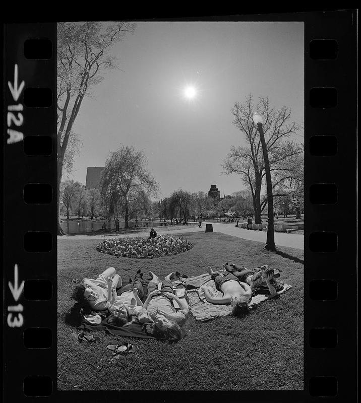 Sunbathing in Public Garden, Back Bay - Digital Commonwealth