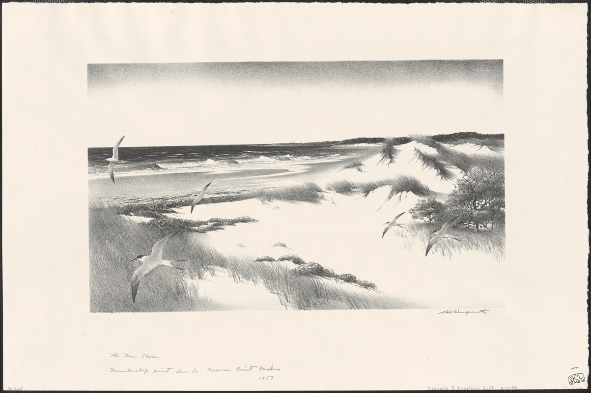 The far shore - Digital Commonwealth