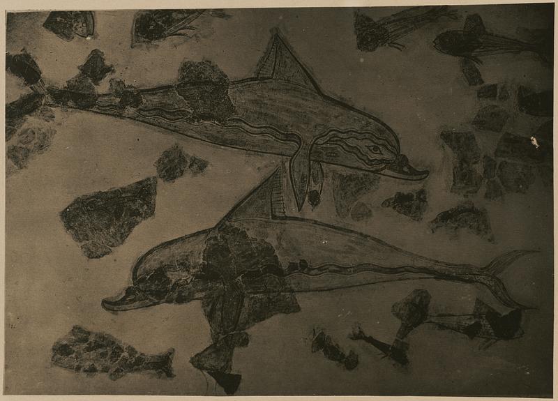Dolphin Fresco in palace of Knossos - Digital Commonwealth