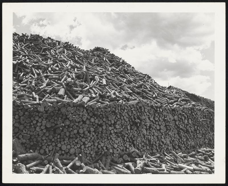 Pulp. Logs. - Digital Commonwealth