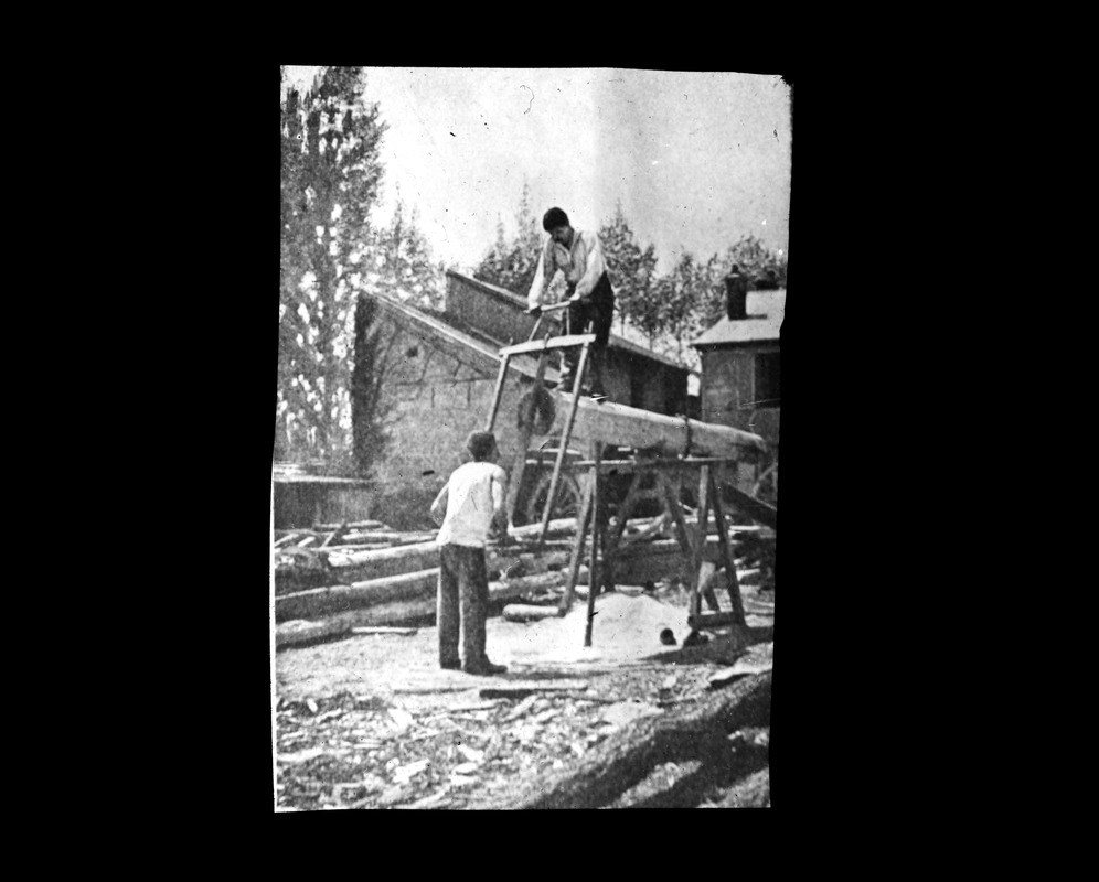 Whip saw - Digital Commonwealth