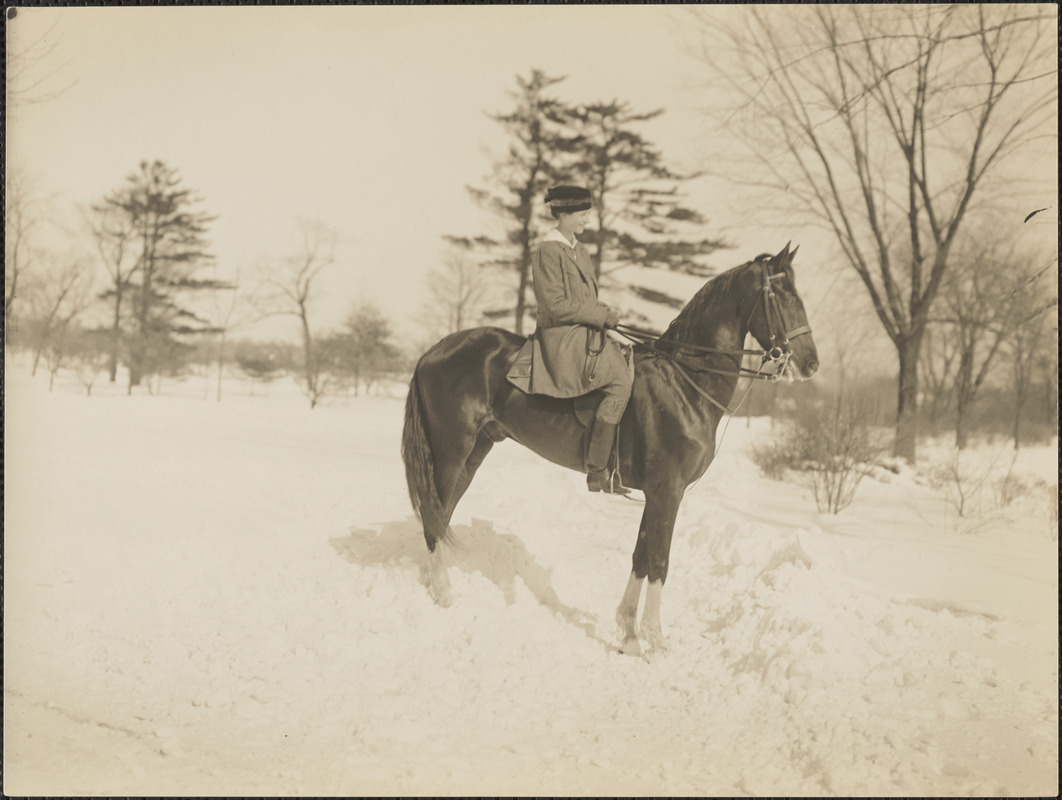 Woman sitting astride a horse in the snow - Digital Commonwealth