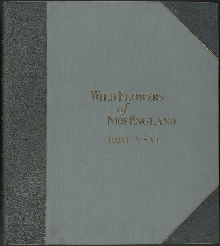 Wild flowers of New England. Part V, Lily, iris, violet and convolvulus ...
