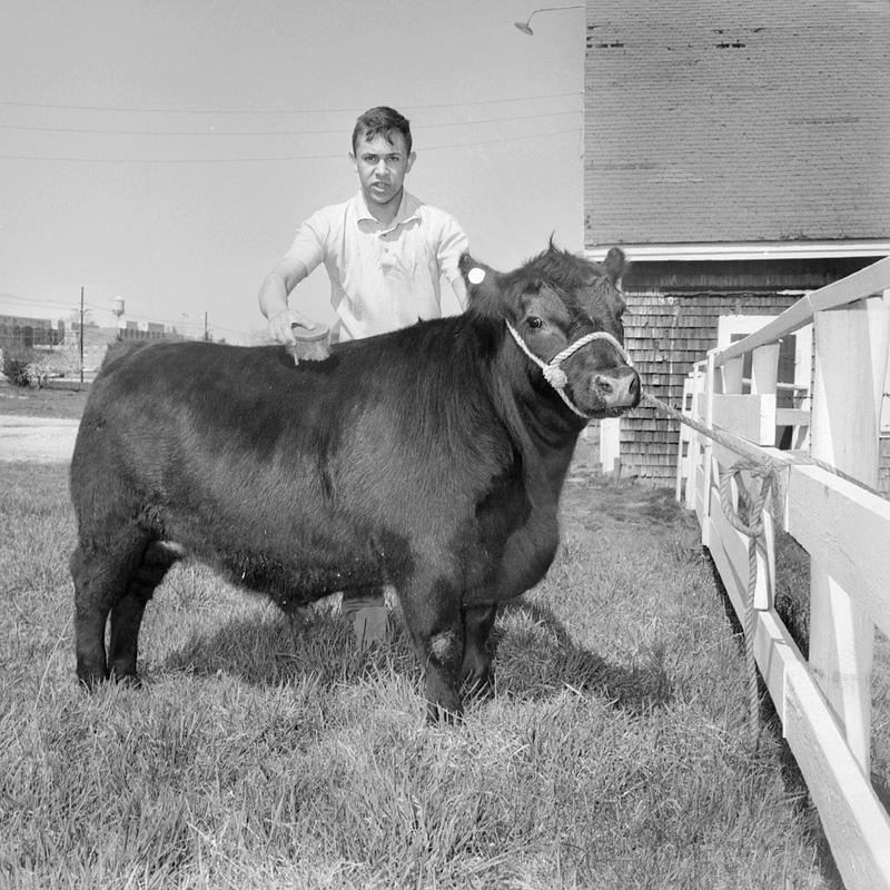 H Farm, 182 Thompson Street, East Middleboro - Digital Commonwealth