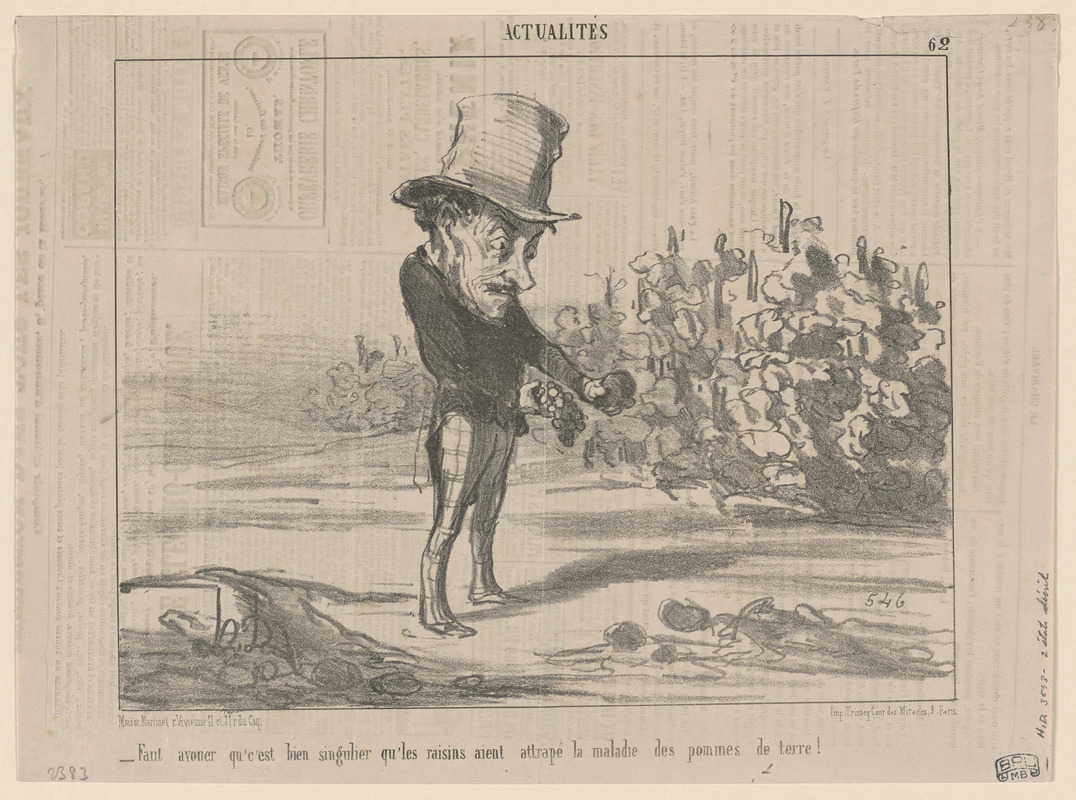 Faut avouer qu'c'est bien singulier... - Digital Commonwealth