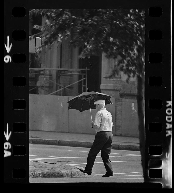 Rainy day in Cambridge Common, Cambridge - Digital Commonwealth