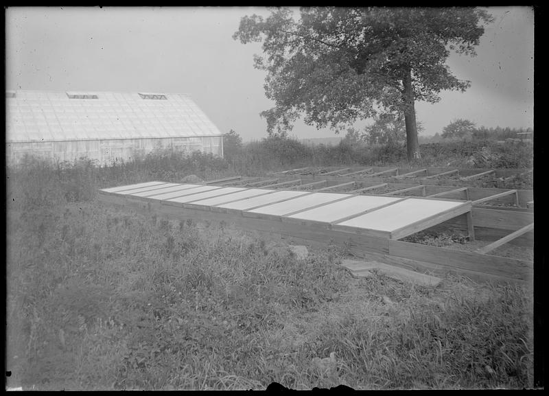 Hotbeds and coldframes - Digital Commonwealth