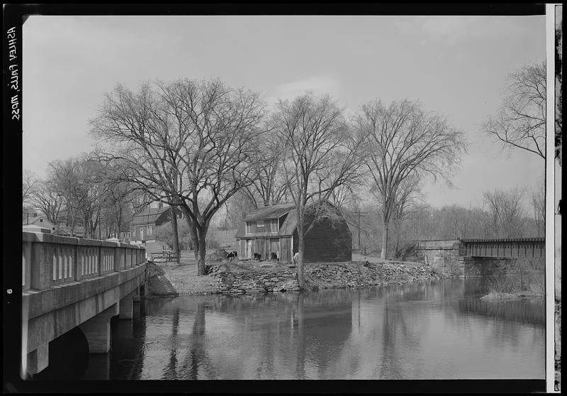 Spring pond scene, Ashley Falls - Digital Commonwealth
