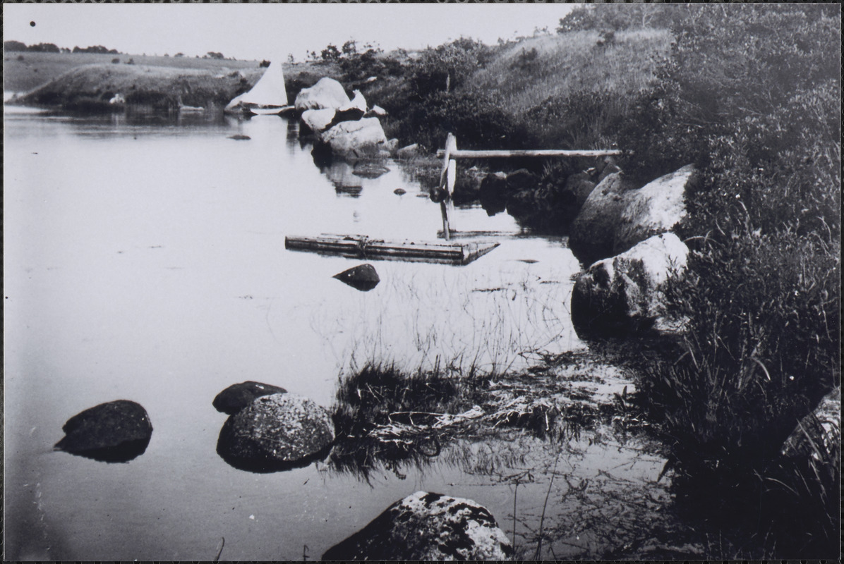 Follins Pond, Bass River - Digital Commonwealth