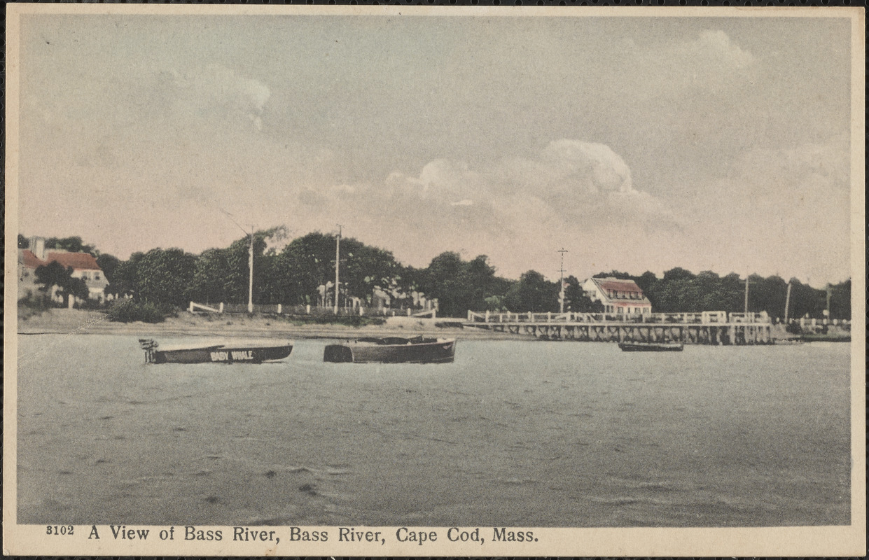 A view of Bass River, Bass River, Cape Cod, Mass. - Digital Commonwealth