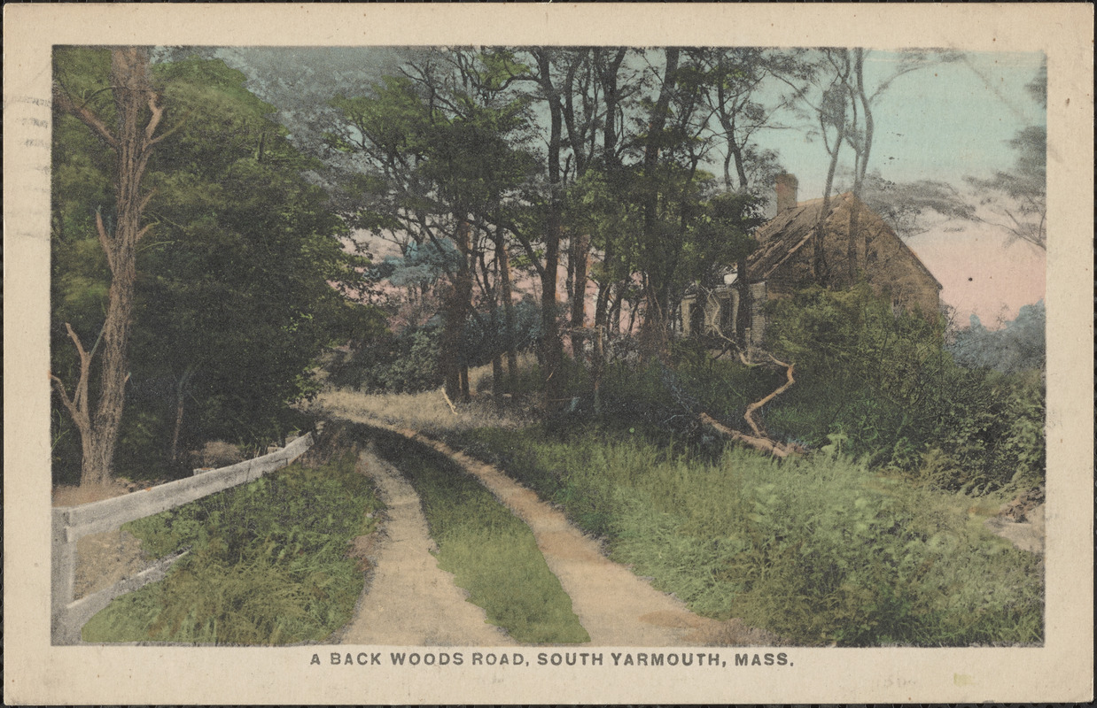A back woods road, South Yarmouth, Mass. - Digital Commonwealth