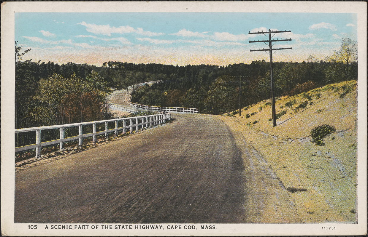 A scenic part of the state highway, Cape Cod, Mass. - Digital Commonwealth