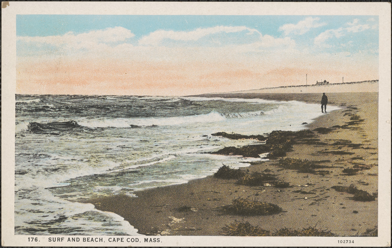 Surf and beach, Cape Cod, Mass. - Digital Commonwealth